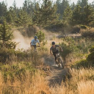 STP 26 | Giant Bicycles US