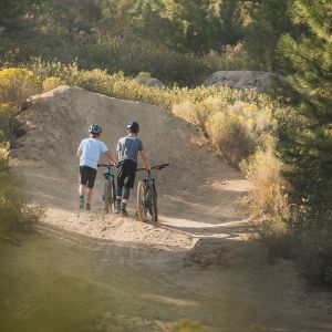 STP 26 | Giant Bicycles Official site
