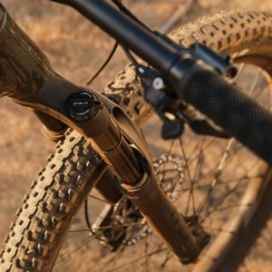 2021 Stance | Giant Bicycles Official site