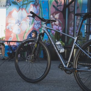 Roam | Giant Bicycles Official site