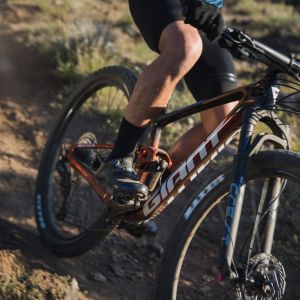Crest FloTrac XC Shock | Giant Bicycles DE