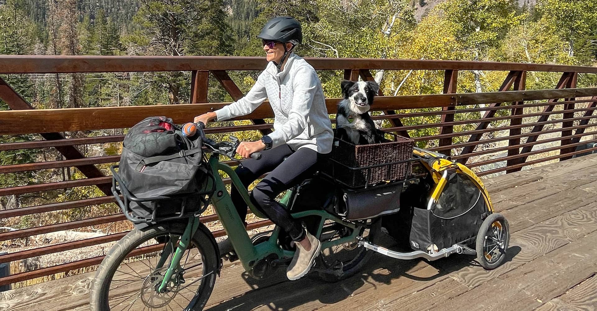 How To Bike With Your Dog Five Ways To Take Your Dog On Your Bike How To Bike With Your Dog Five Ways To Take Your Dog On Your Bike