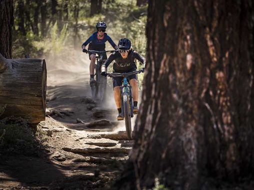 Giant Bicycles UK | The World's Leading Brand Of Bicycles & Cycling Gear