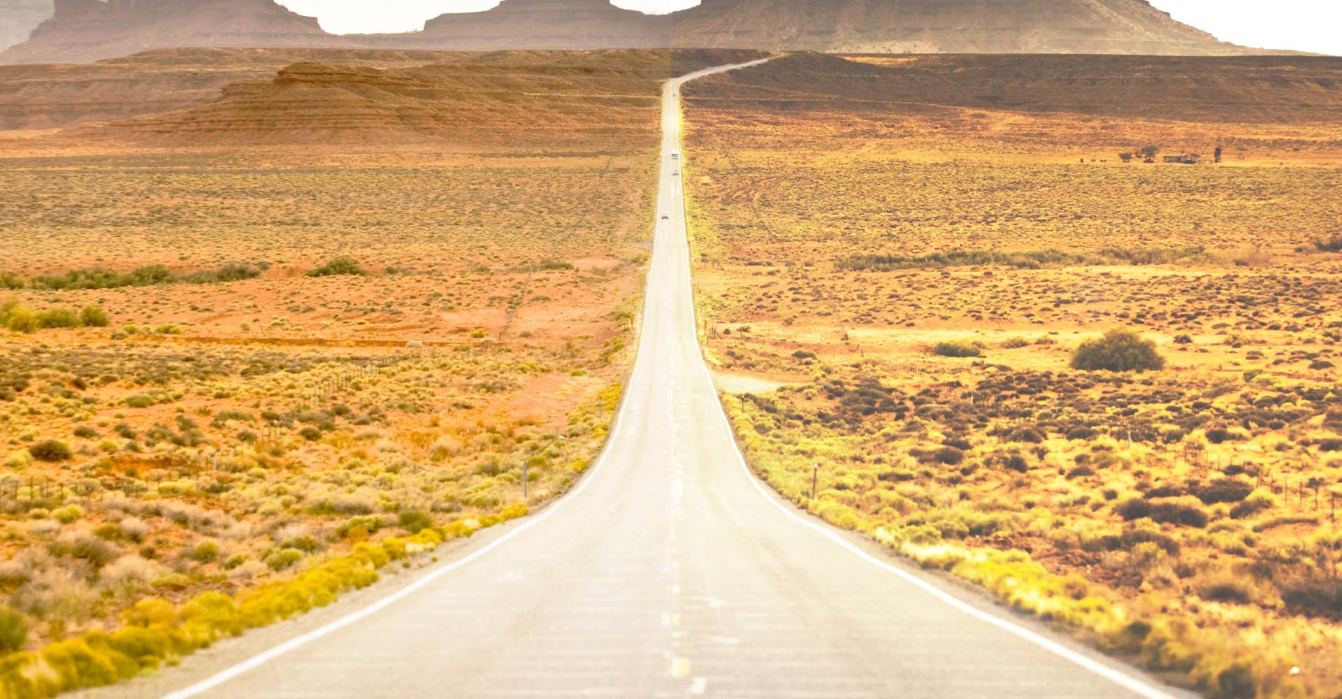 Zeiss Lens Technology | Giant Bicycles US