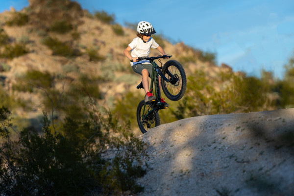 STP 20 FS (2022) | bike | Giant Bicycles Australia