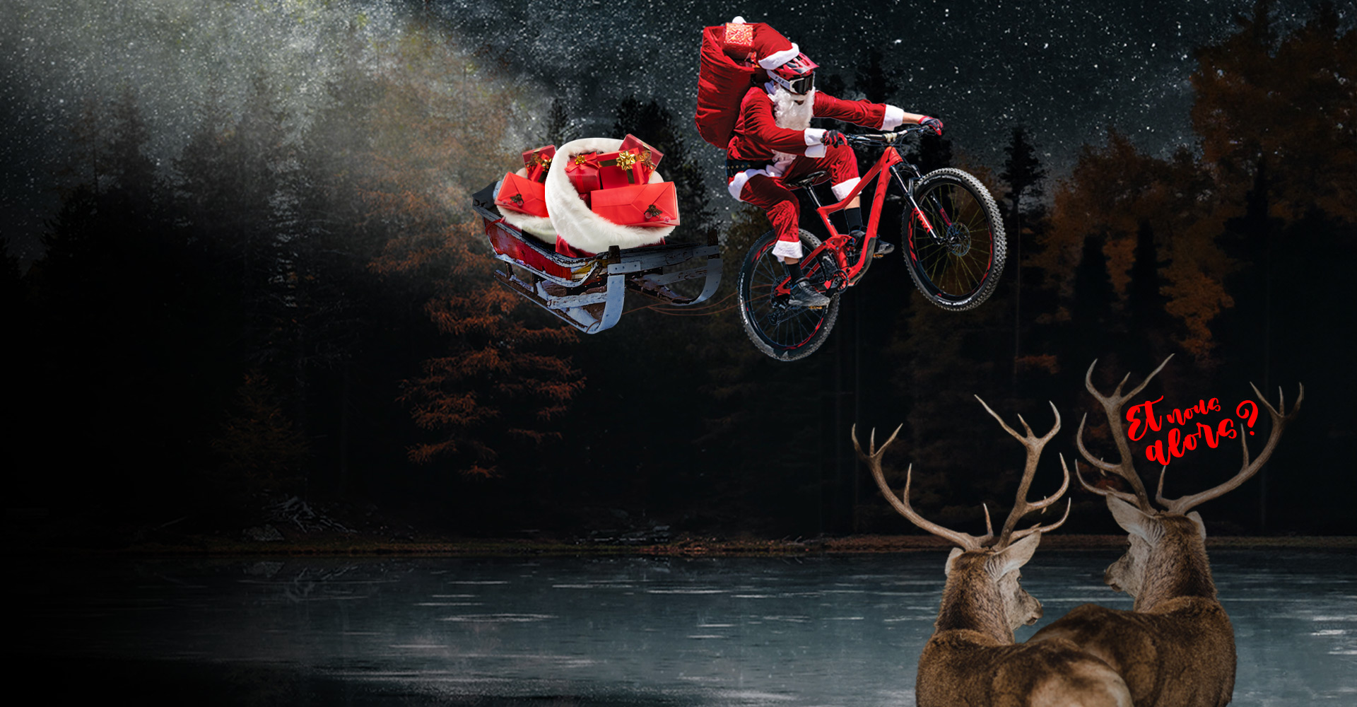 Giant Bicycles - 1er Constructeur de Vélos au Monde