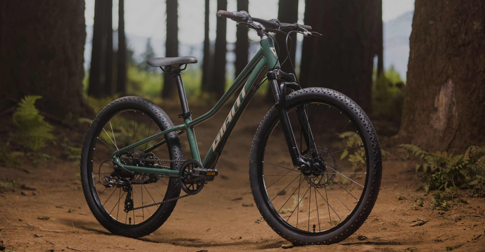 Giant Bicycles - 1er Constructeur de Vélos au Monde