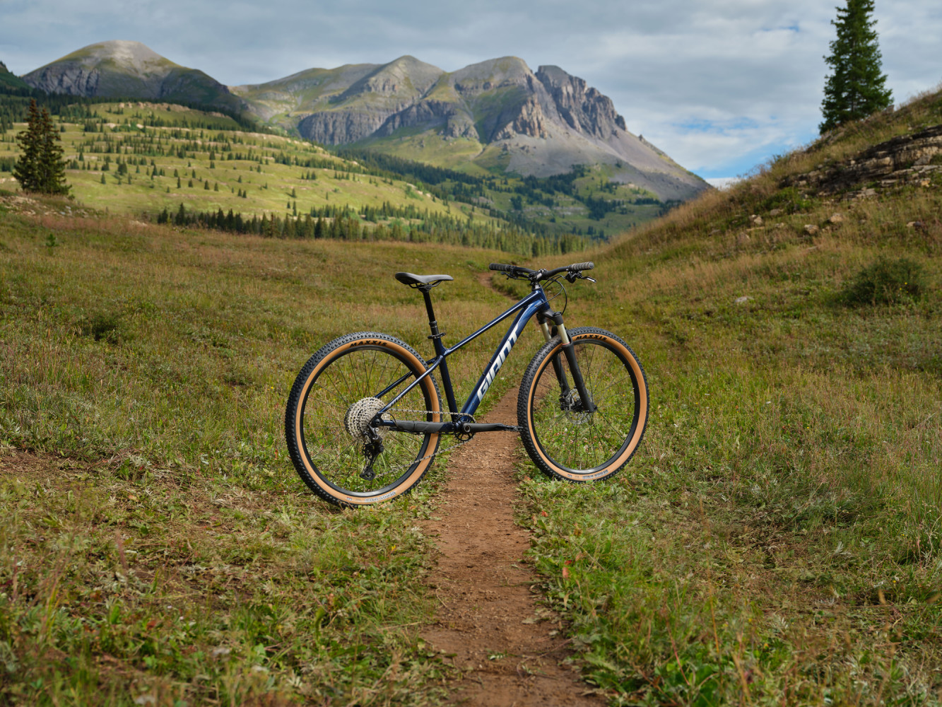 New VTT Talon 2025 | Giant Bicycles Giant Paris 12